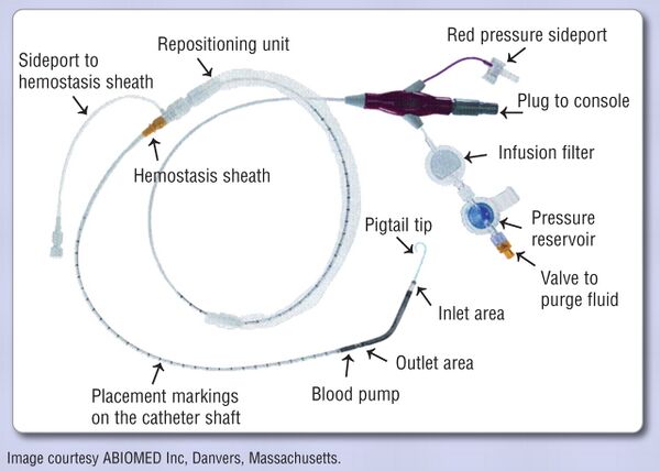 Coronary anatomy - PCIpedia
